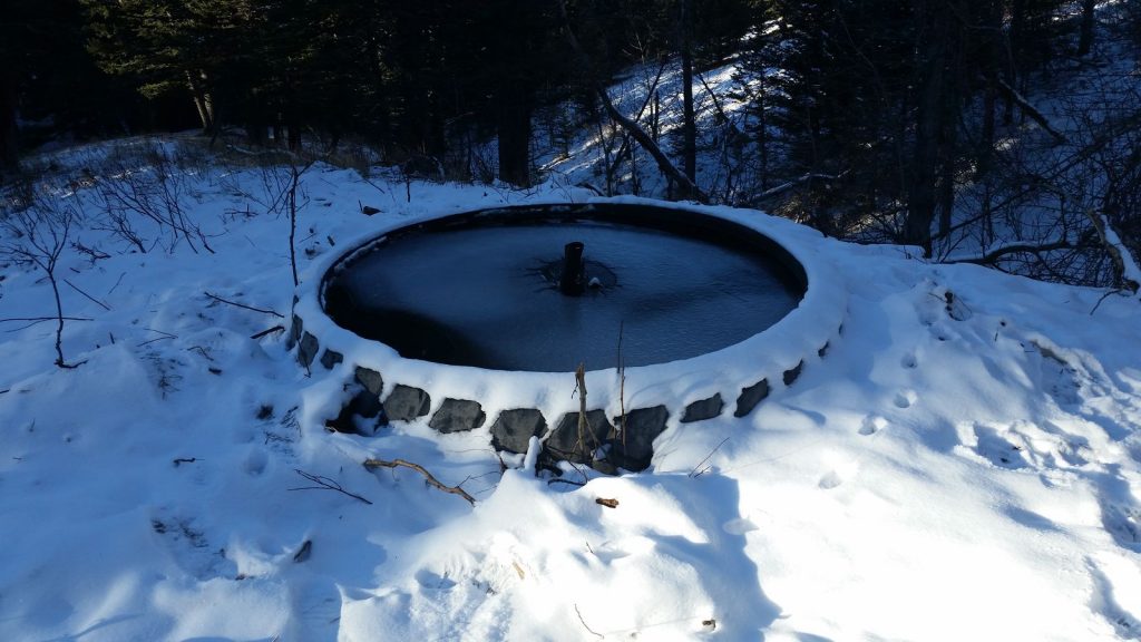 The Best Cattle Waterers for Winter - Countryside